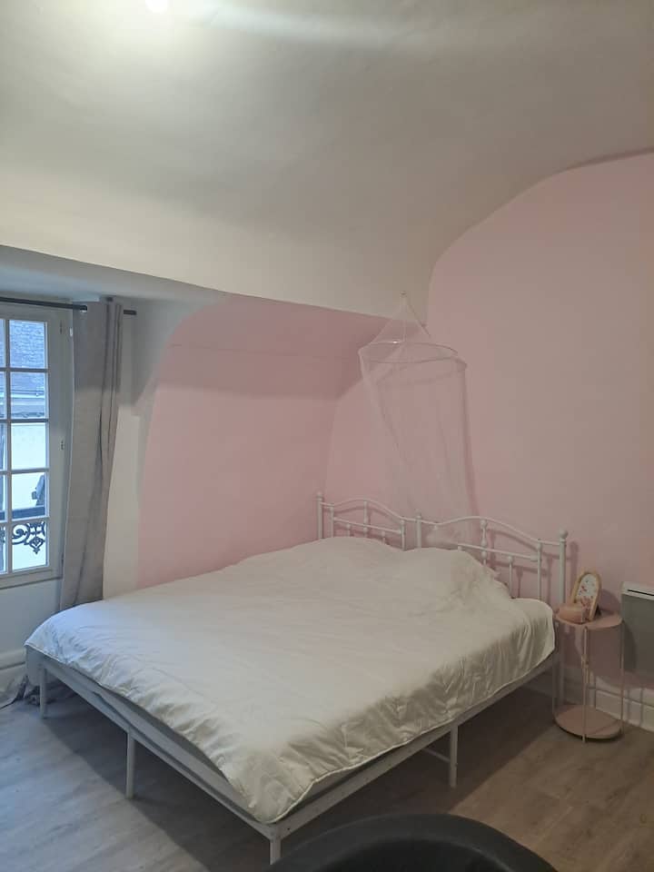 Studio Centre-ville - La Flèche