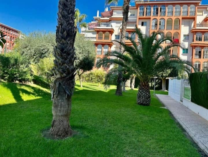 Kert éS Medence Kapcsolat - Torrevieja