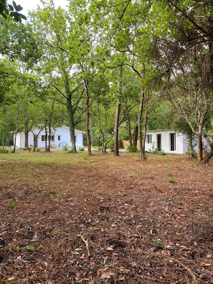 Maison Familiale Chaleureuse - Casalolo - Plage du Pin Sec
