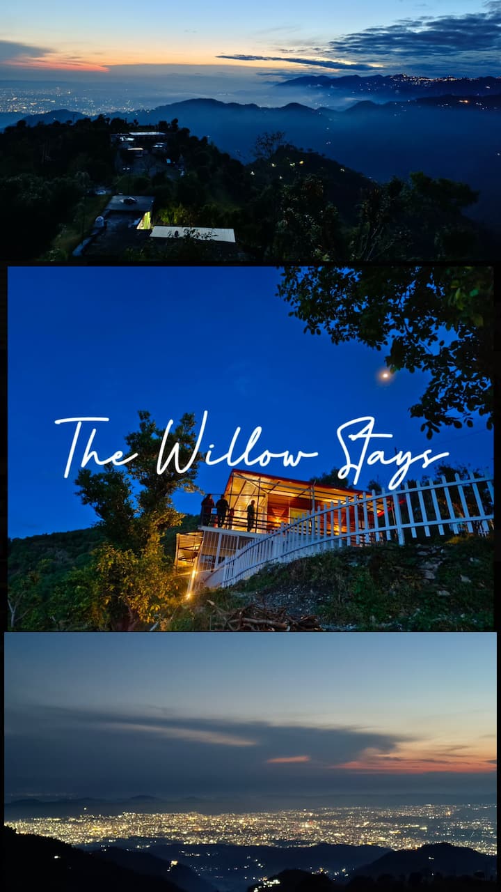 The Willow Stays - Dhanaulti