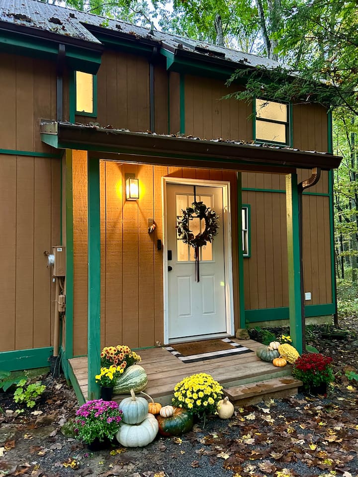 Cozy Wooded Wv Cabin • Firepit • Hot Tub • Near Dc - Berkeley Springs, WV