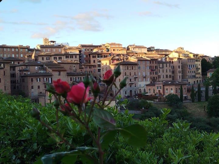 Zona Pza Del Campo E Duomo Casa Con Terrazzo - 西恩納