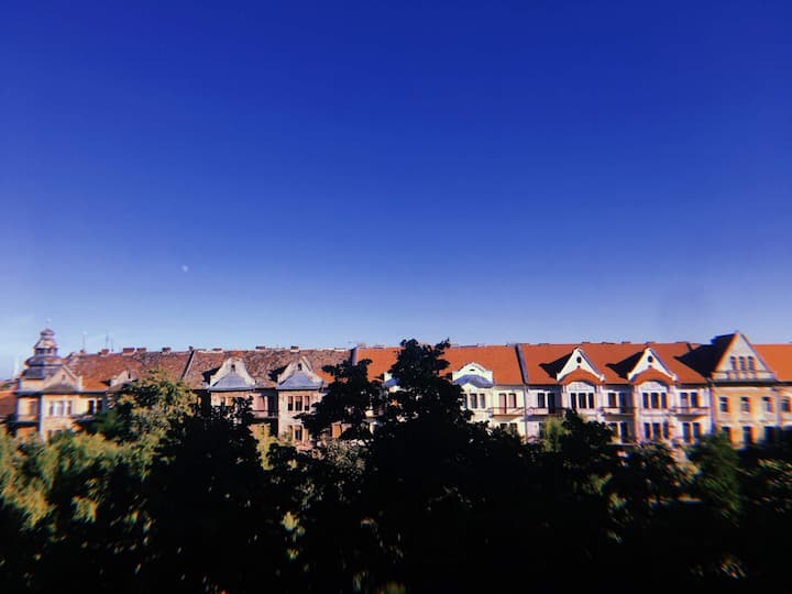 Apartamentul Din Mica Vienă - Giroc