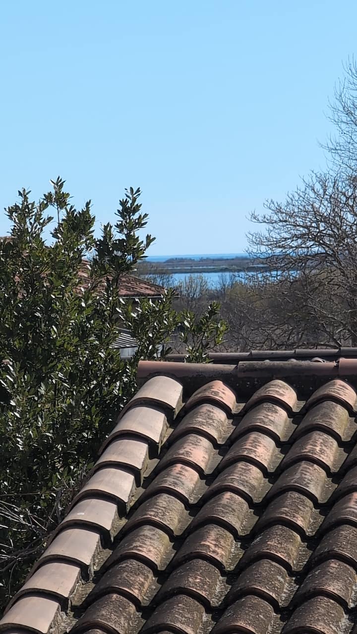 Beautiful 3 Beds Mediterraneen Remodeled House ! - Vic-la-Gardiole