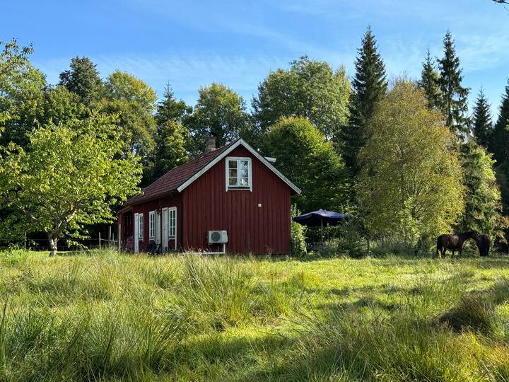 Boende I Gislaved Västra - Gislaved