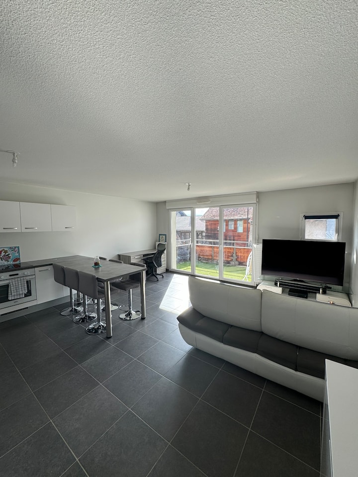 Appart 100m2 Tout Confort 6 Pers - Nyon