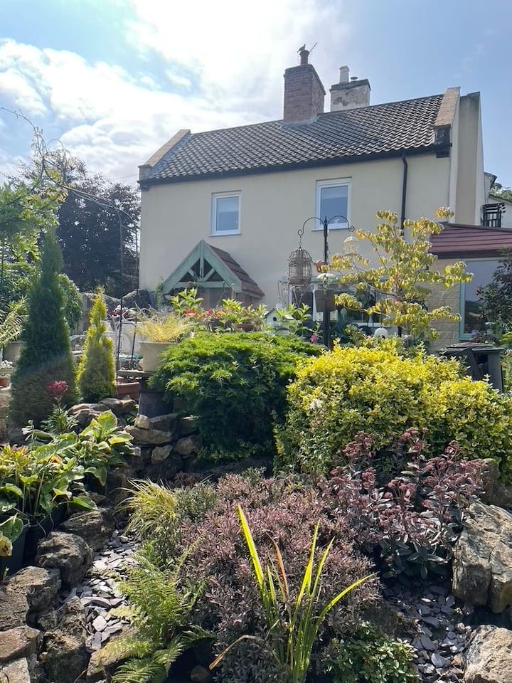 Hillside Cottage - Sherwood Forest
