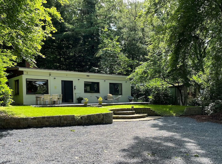 Kokoon In 'T Groen - Lovaina