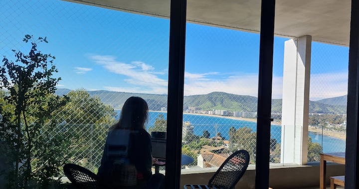 Departamento Vista Al Mar Alto Papudo Nuevo 2d2b - Zapallar