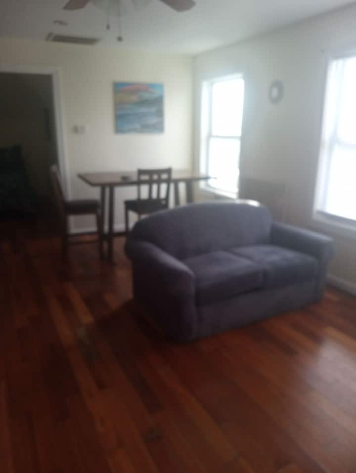 A Nice One Bedroom Free Parking - Schenectady, NY