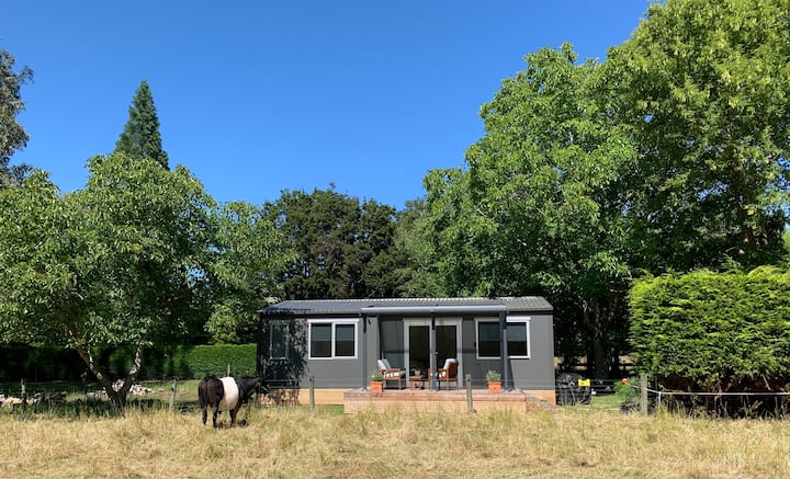 Little Walnut - Kaiapoi
