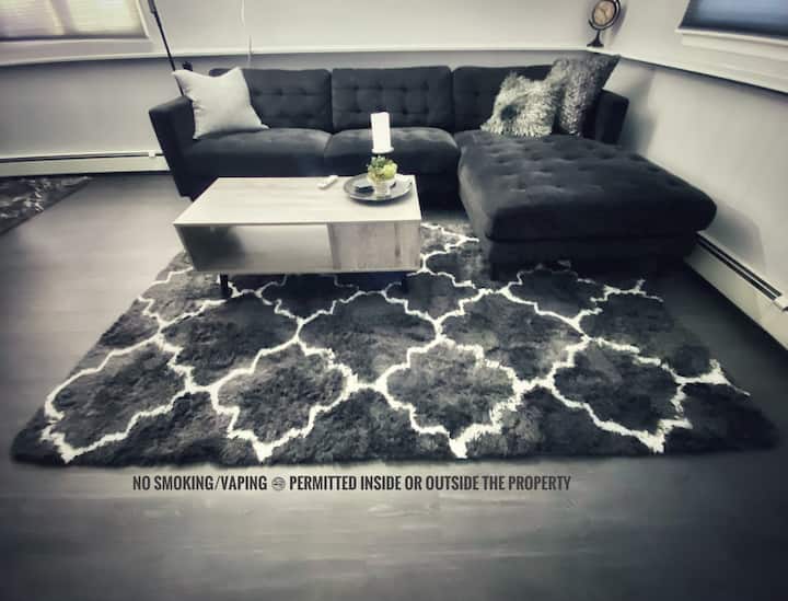 Newly Renovated Modern Spacious 2 Bedroom Apt - Patchogue, NY