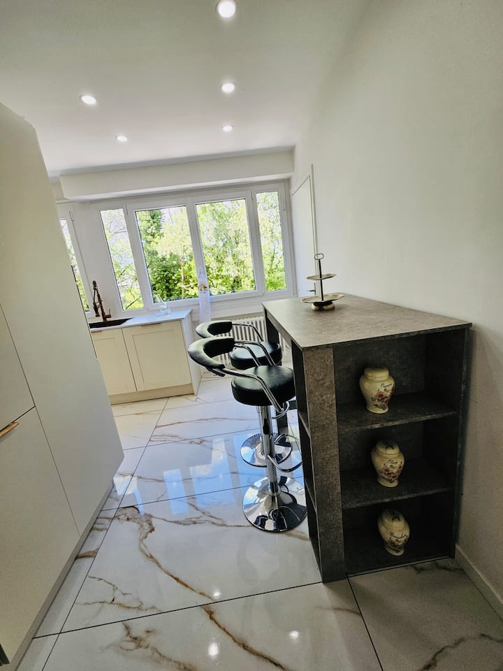 Chambre Dans Spacieux Logement Annecy - Annecy