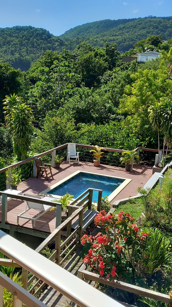 Les Balisiers.
Fleure Tropicale Aimée Des Colibris - Martinique