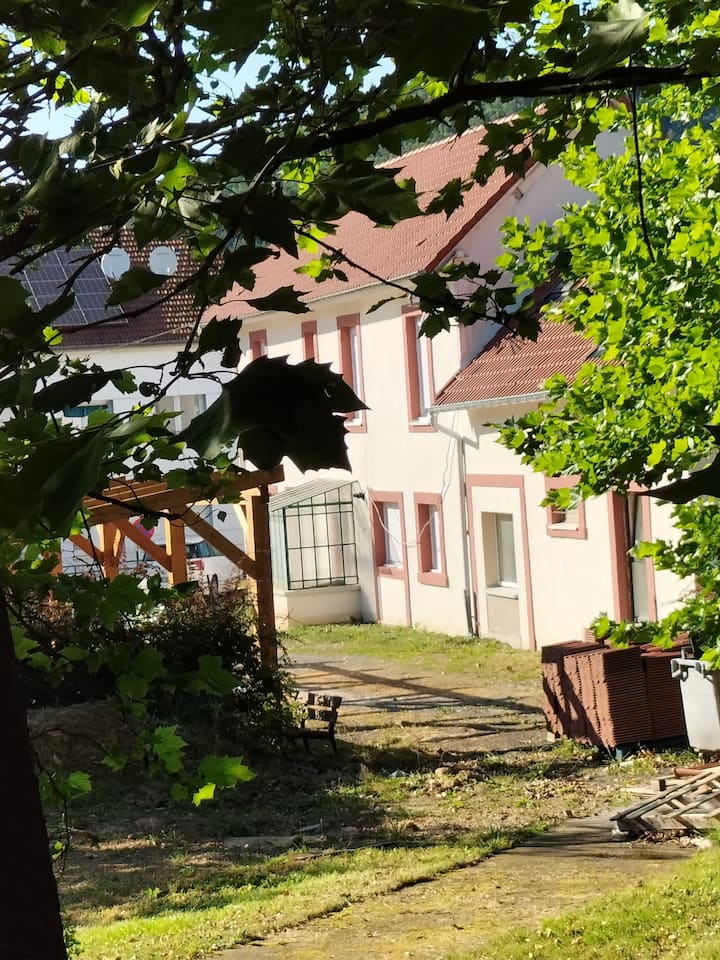 Grande Maison 8/9 Pers 4 Ch Proche Lacs Et Parcs - Lac de Pierre-Percée