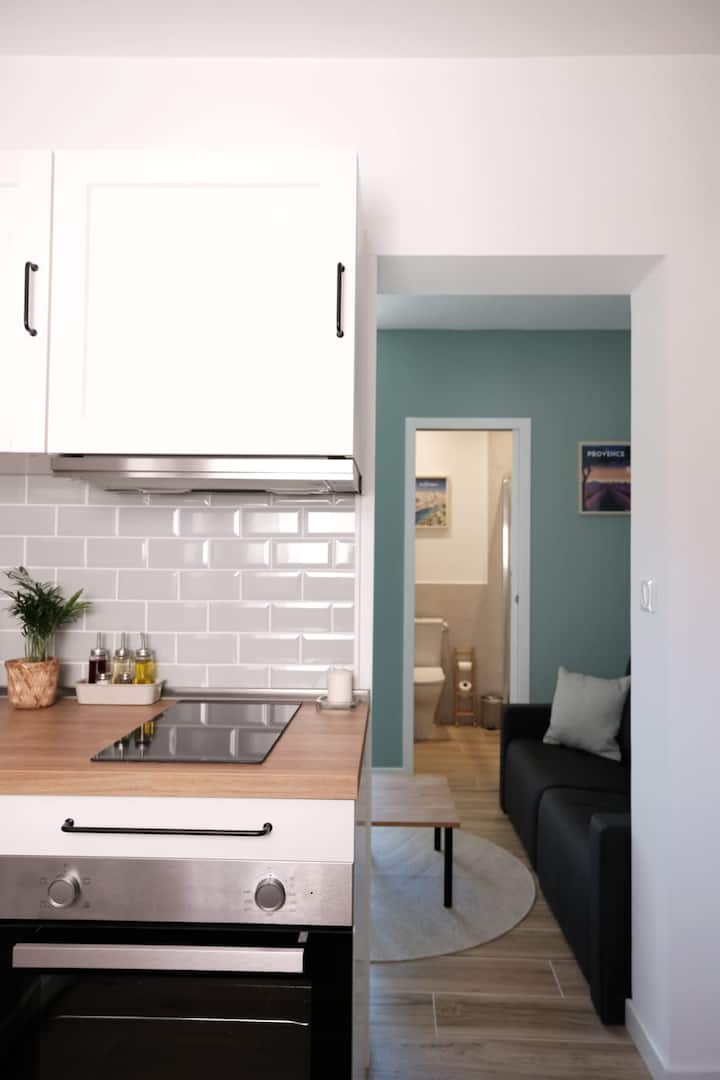 Studio Rénové Avec Terrasse - Aix-en-Provence