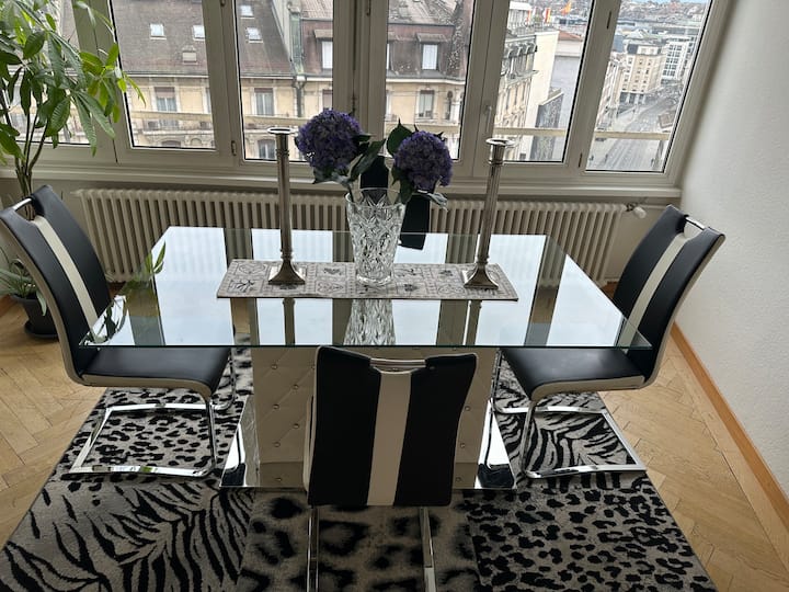 Ap 2 De Belle Chambre Centre - Geneva