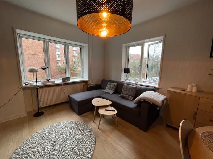 Herskabelig Lejlighed - Aarhus