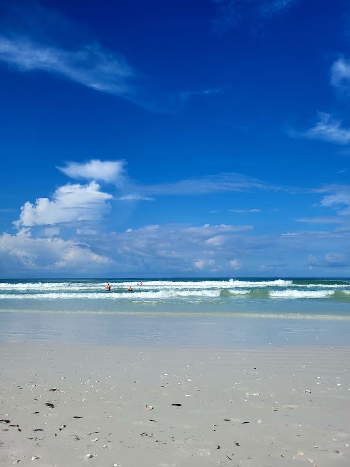 The Flamingo Room - Siesta Key, FL