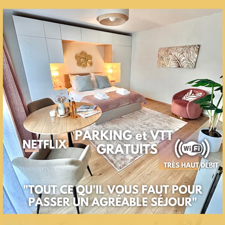 L'evasion 3*- Parking & Vtt Gratuits - Proche Lac - Annecy