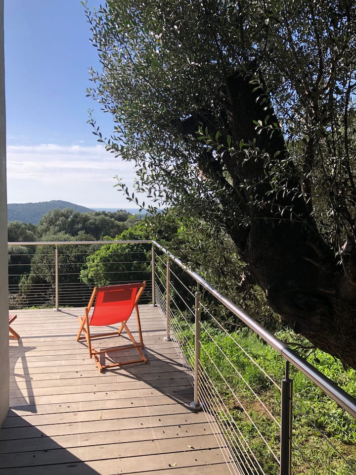 Maison Sur Grand Terrain Arboré - Plage de Roccapina