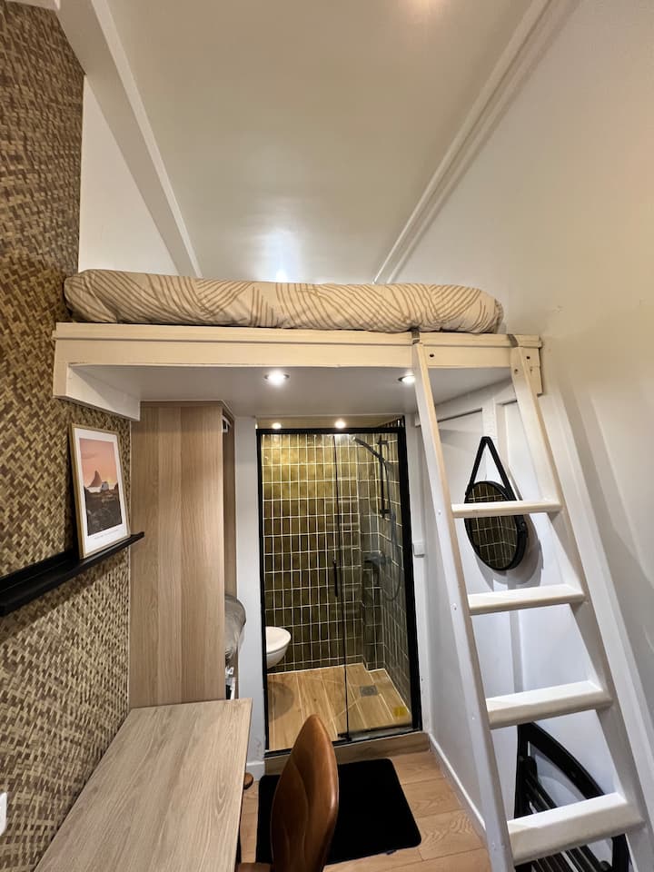 Studette Rénovée Avec Mezzanine, 15e - Cachan
