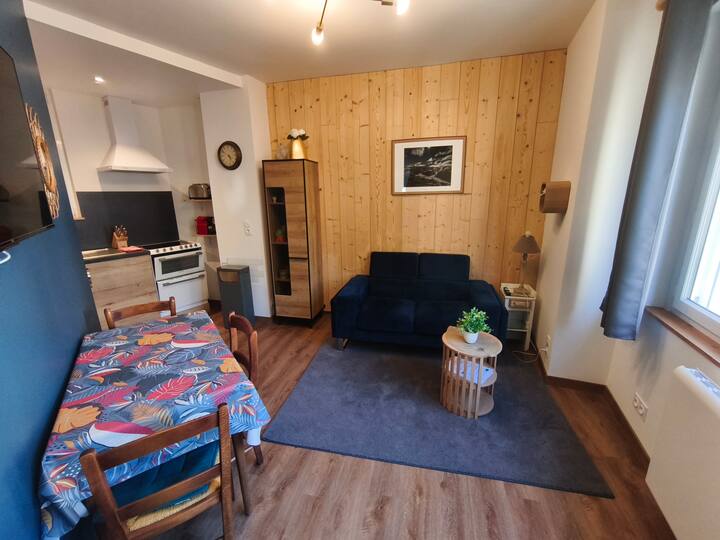 Loc 8 : Charmant Duplex, Coeur De Ville 3*, 2 Pers - Mont-Dore