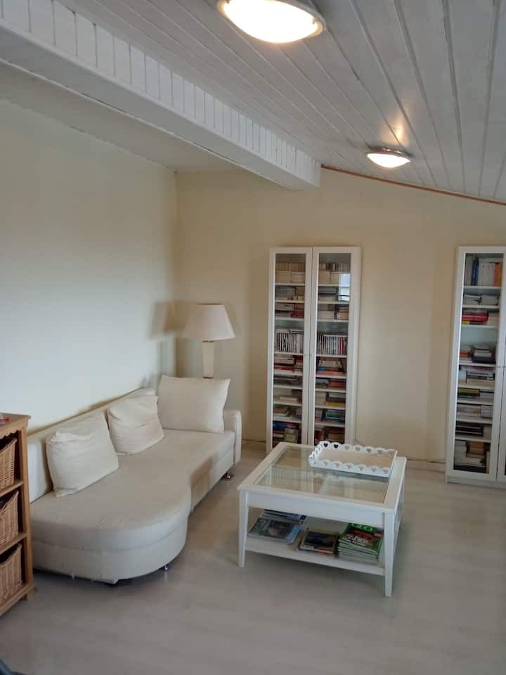 Bel Appartement Avec Vue Lac Panoramique - Évian-les-Bains