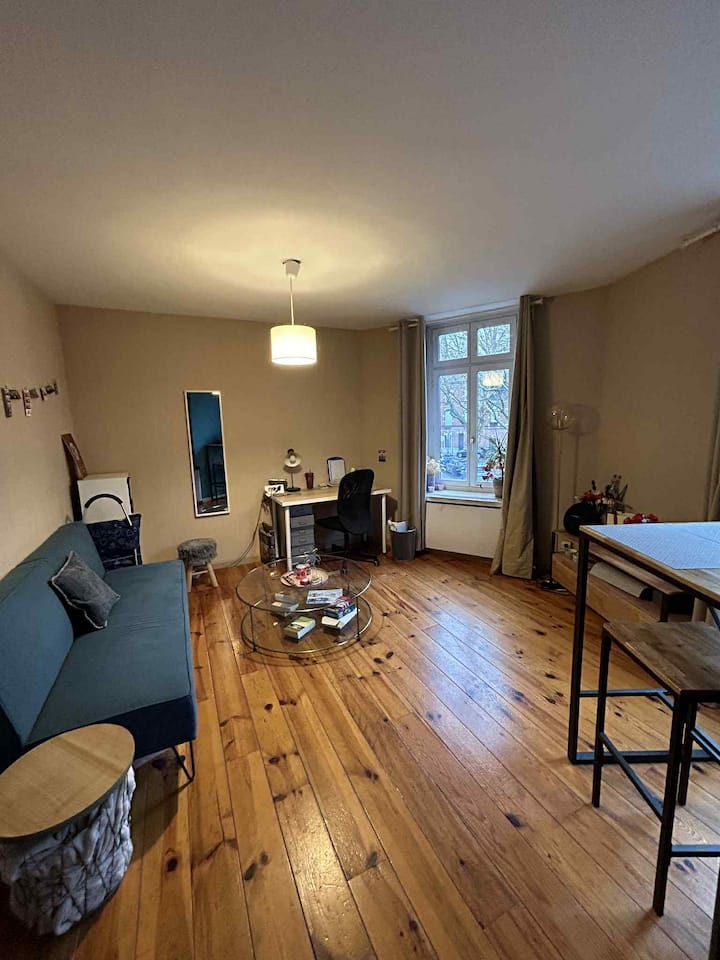 Superbe Appartement Cosy Proche Gares Et Centre - Gare Lille Flandres