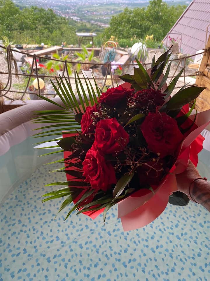 Cabana Golden House - Cluj-Napoca