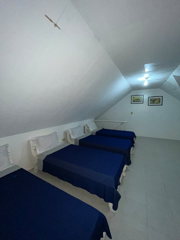 Two Dolphins - San Pablo City