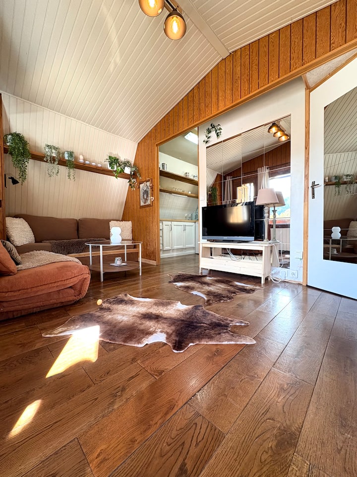 Charmant Chalet Face Aux Montagnes - Isola 2000