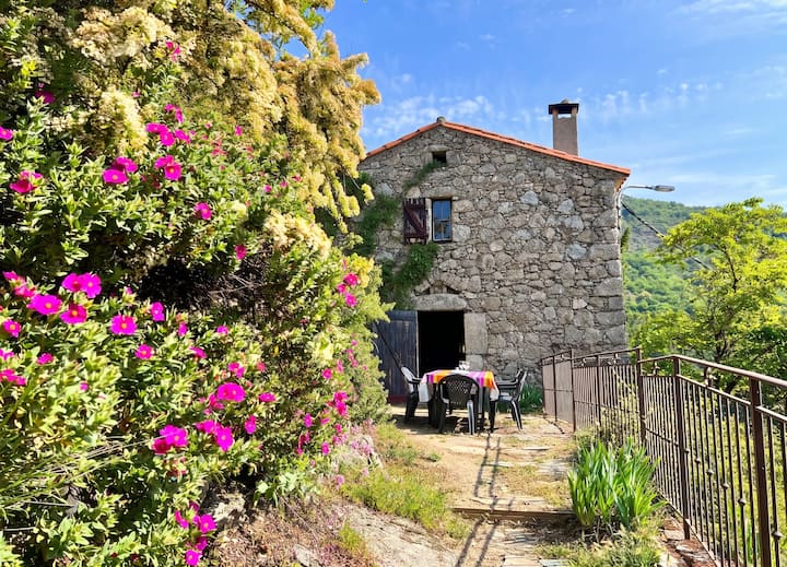 Maison à Valleraugue, Piscine. - Mont Aigoual