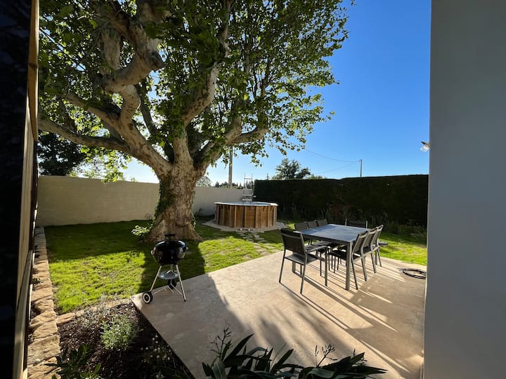 Le Platane-clim-piscine-jard-park - Carpentras