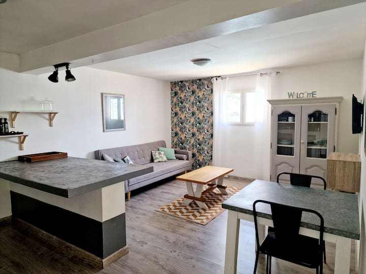 Grand Studio Au R-1 - Saint-Denis