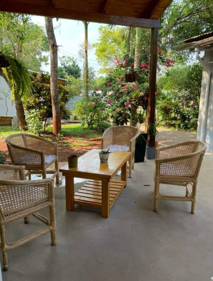 Lapacho - Puerto Iguazú