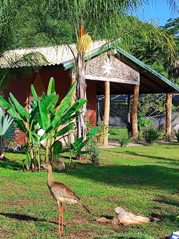 Casa Do Jardim - Bonito