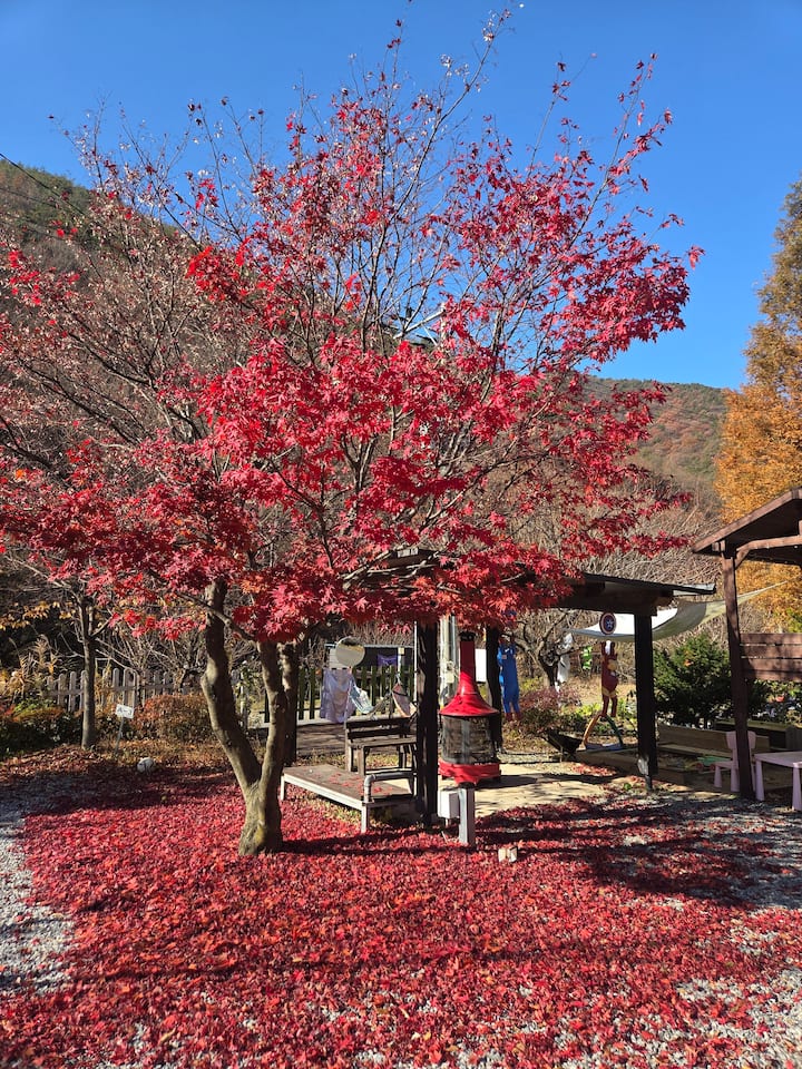별하숲 Pension&camping
(구)3355 - 경상남도