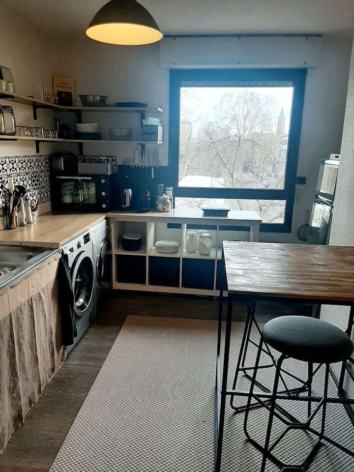 Chambre Chez L'habitant - Toulouse