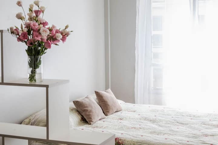 Mono Alto Palermo, Pasos Subte. Wifi 500 - Buenos Aires