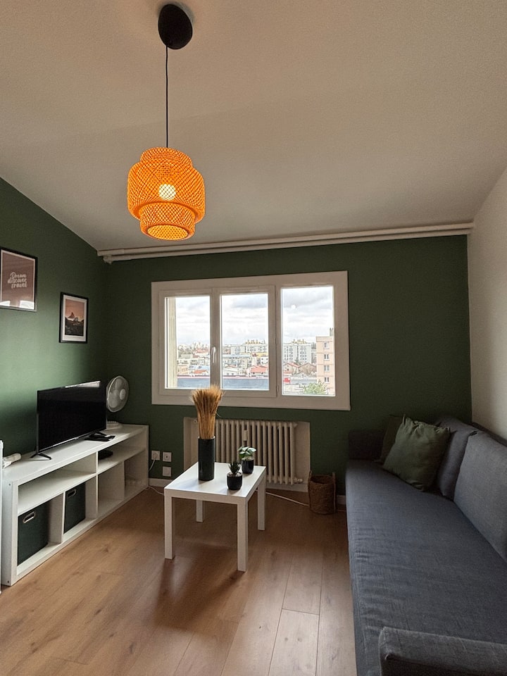 Studio Villeurbanne - Flachet - Miribel