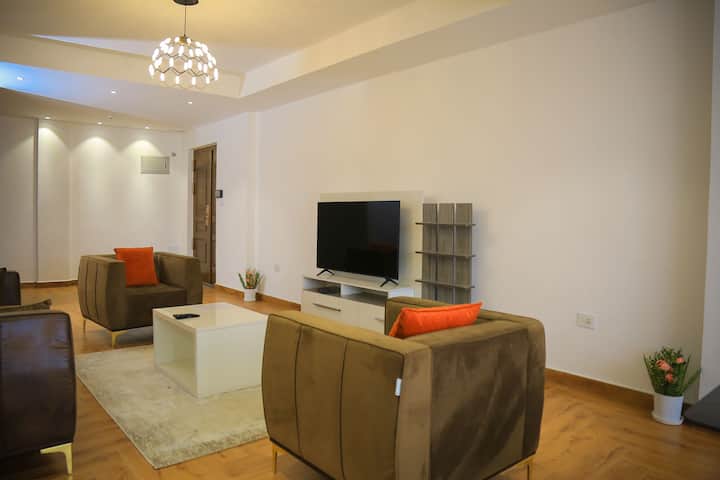 1 Bedroom Luxurious Apartment. (304) - Addis Ababa