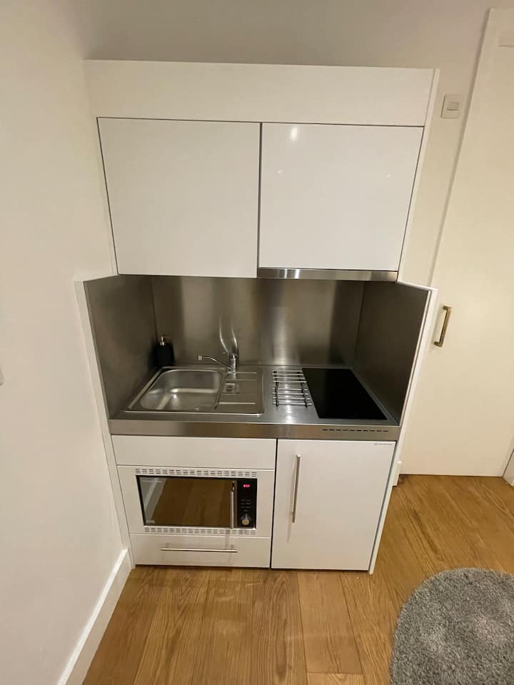 West London Studio With Own Entrance - Regent's Park - London