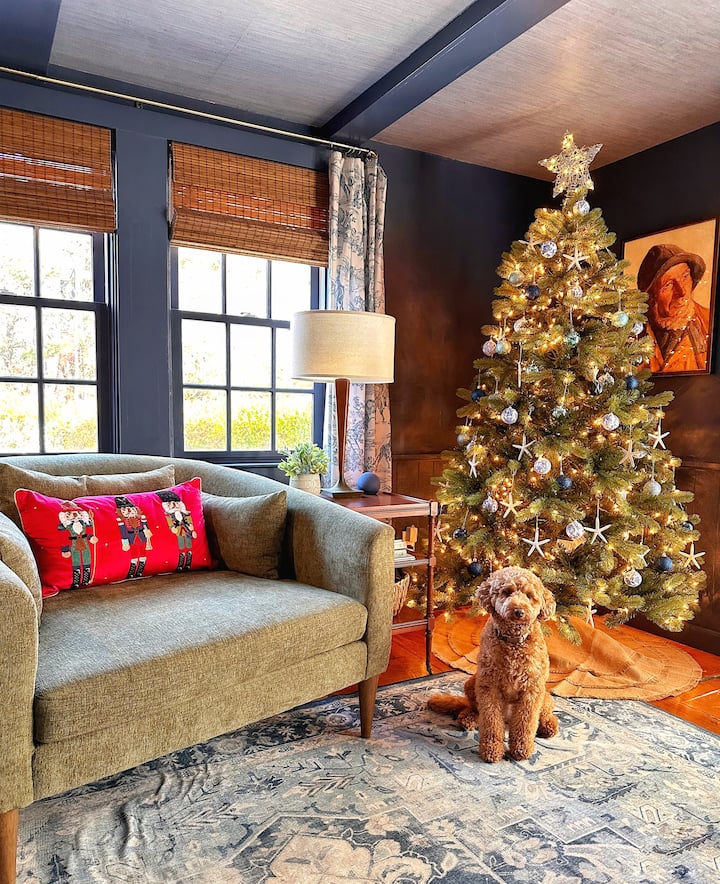 Luxury Beach House! Firepit&petok&2kingbeds - 데니스