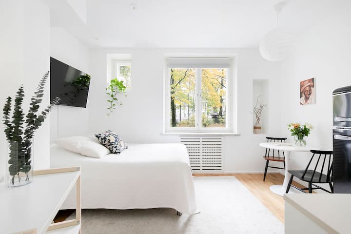 Kaunis Studio Töölössä - Helsinki