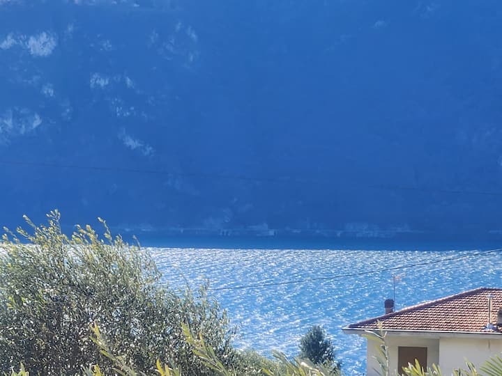 Apartment L'ulivo Vista Lago A 5 Km Da Varenna - Lierna