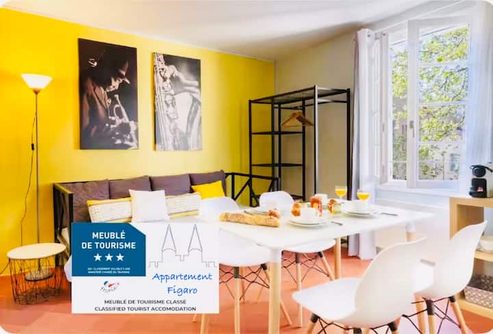 Figaro - Centre Palais Des Papes - Clim - Avignon