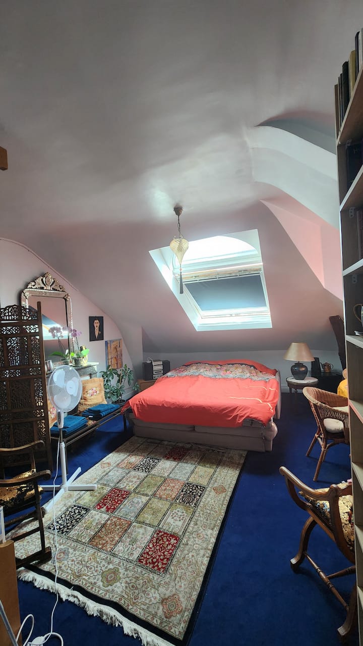 Suite Privée Dans Appartement à St Germain Des P. - Paris