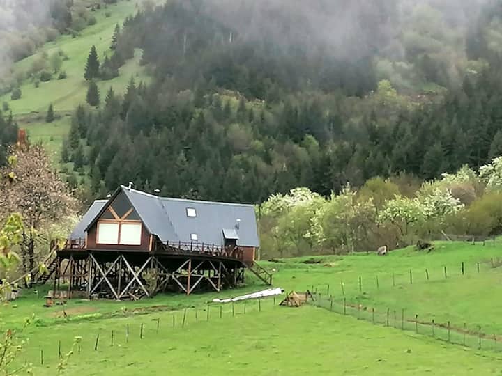 Süllü Dağ Evi̇ - ÇAğman - Giresun