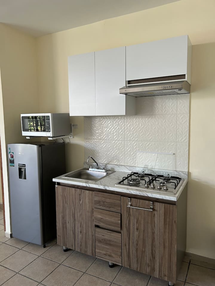 Loft En Aguascalientes - Aguascalientes